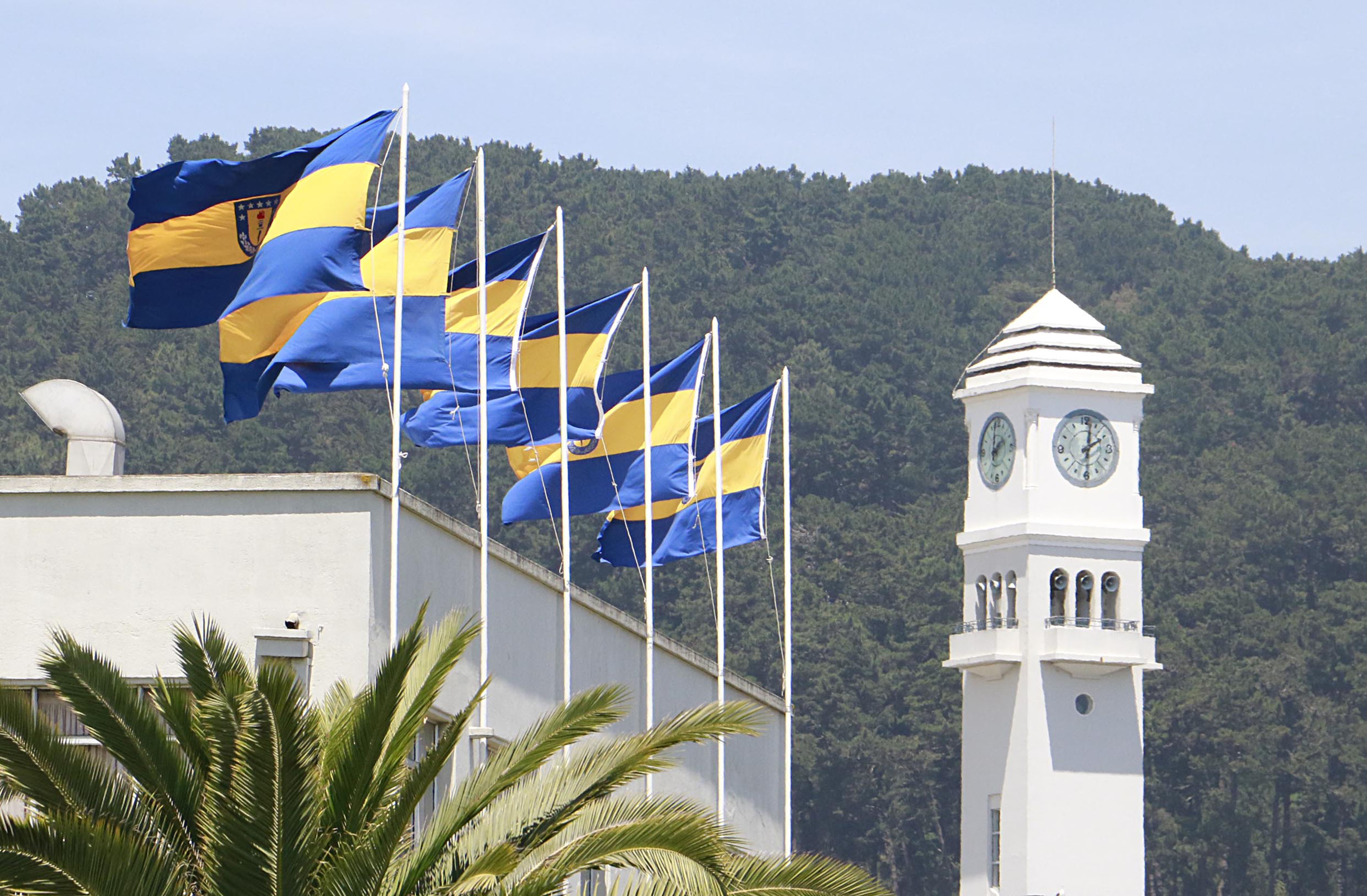 Programas de VcM | vrim2.udec.cl